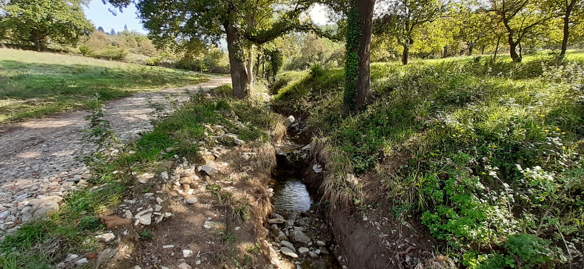 Grassina, il Borro del Boscaccio ora è più sicuro (fotogallery)